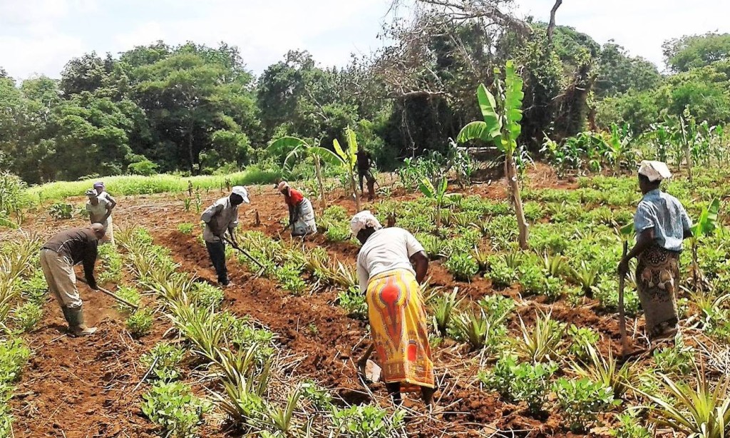 Nature preservation: an opportunity for development | COSV