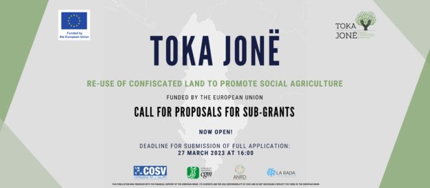 COSV | Coordinamento delle Organizzazioni per il Servizio Volontario